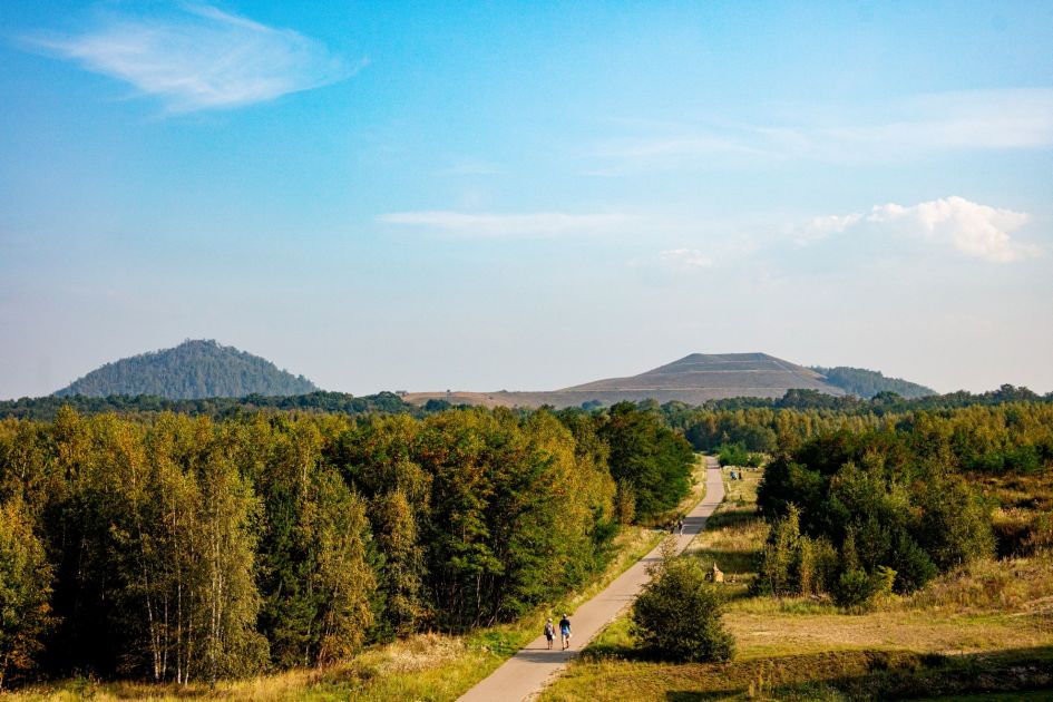 Thor Park - toegangspoort NPHK | Visit Genk